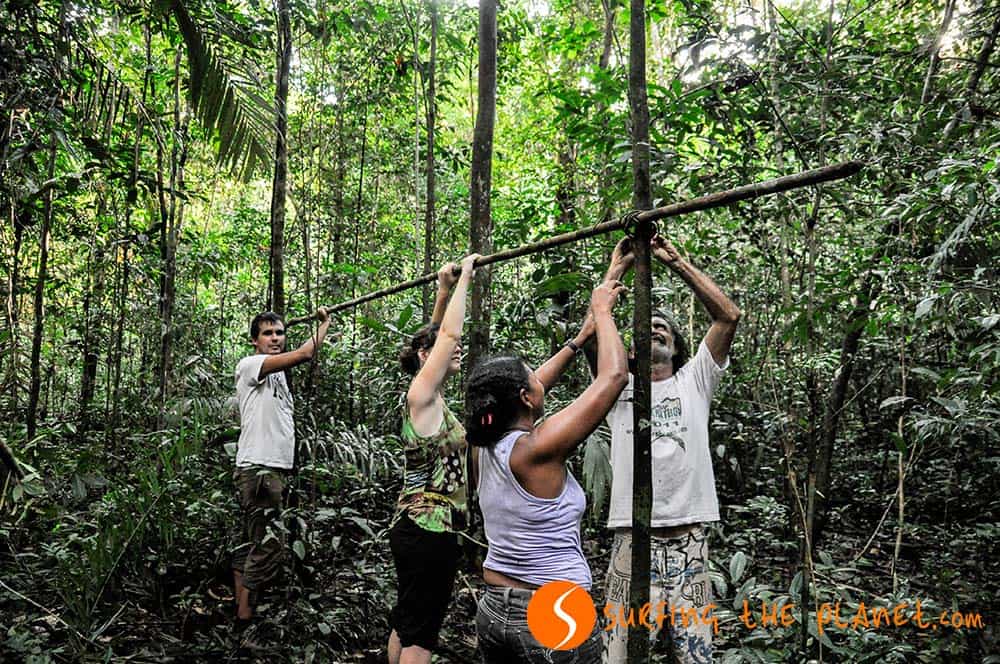 Tour in the Amazon Rainforest | Blog on Travel and Traditions