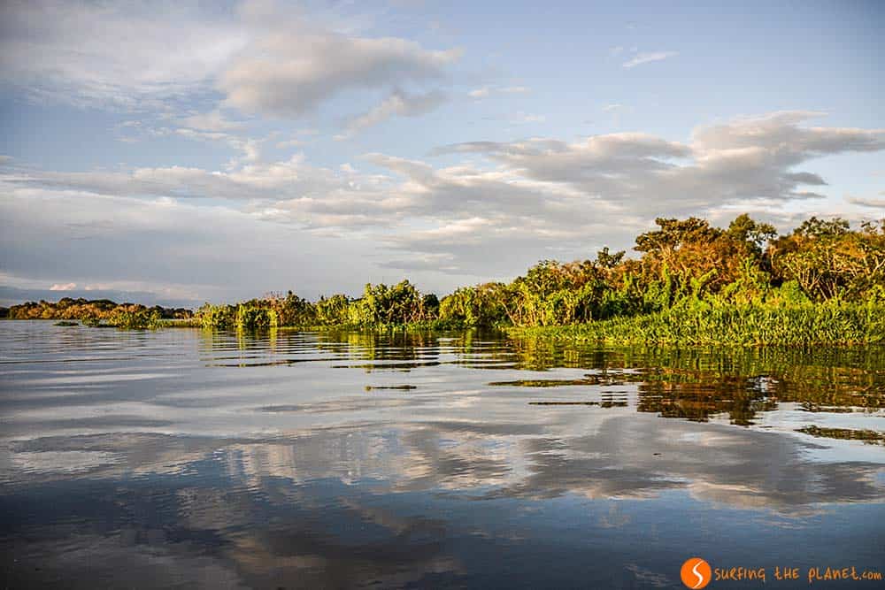 A trip to the Amazon Rainforest | Travel Blog, Culture
