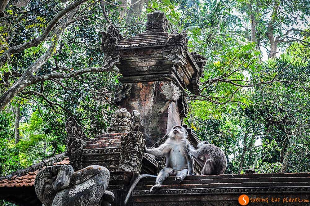 Cosa vedere a Bali templi, risaie| Blog di viaggi e cultura