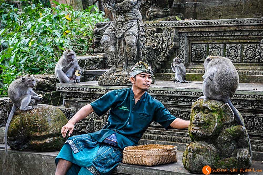 Cosa vedere a Bali templi, risaie| Blog di viaggi e cultura