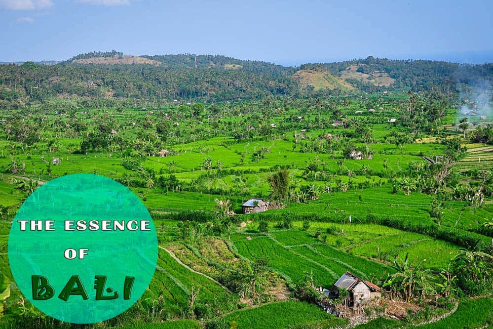 What to do in Bali, temples and rice fields | Visit Bali