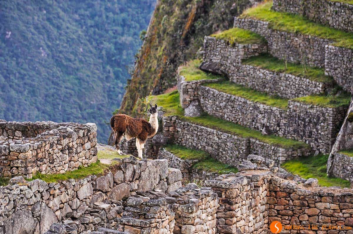 Cómo organizar tu viaje a Machu Picchu | Viajar por Perú