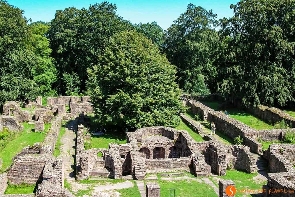 Top 10 THINGS to see and do in HEIDELBERG in 1 day