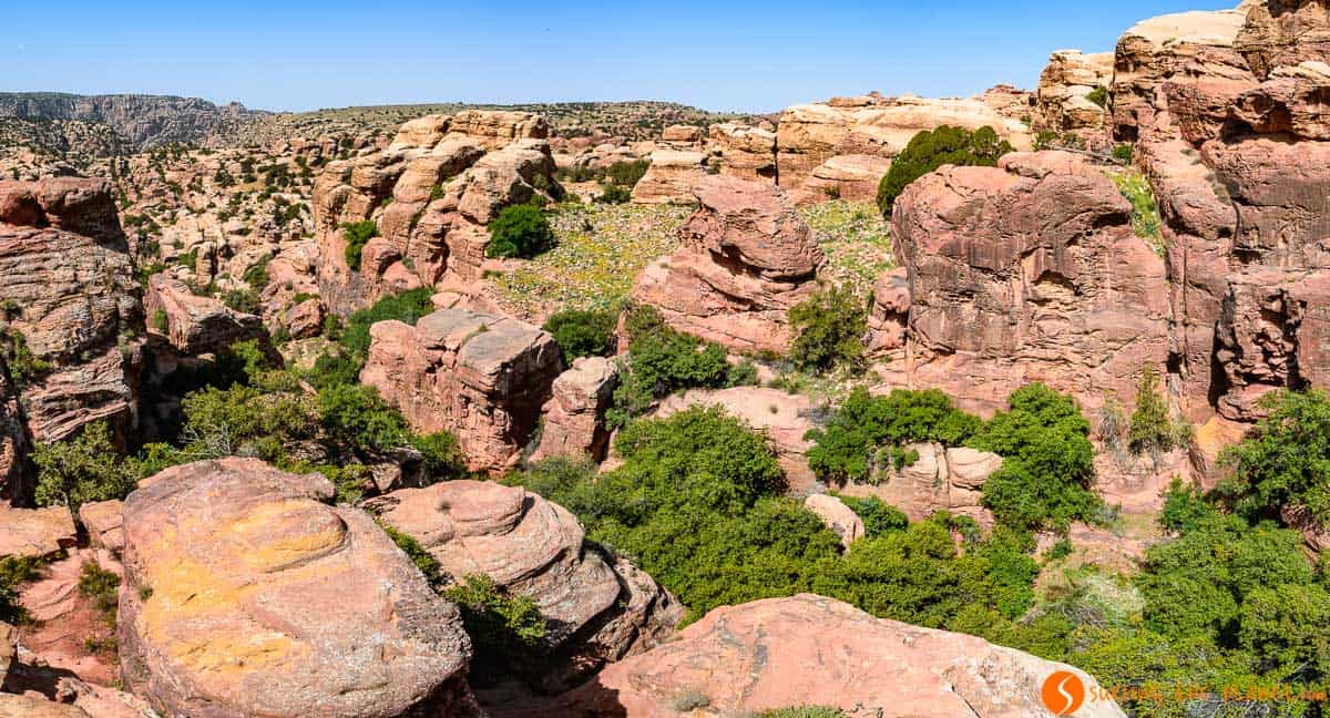 La Reserva de Dana | Paraíso de senderismo en Jordania