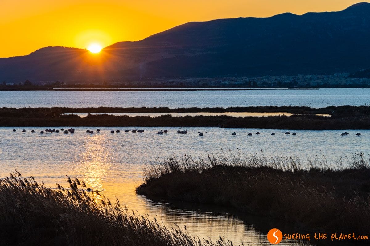 12 rincones mágicos QUE VER en el DELTA del EBRO