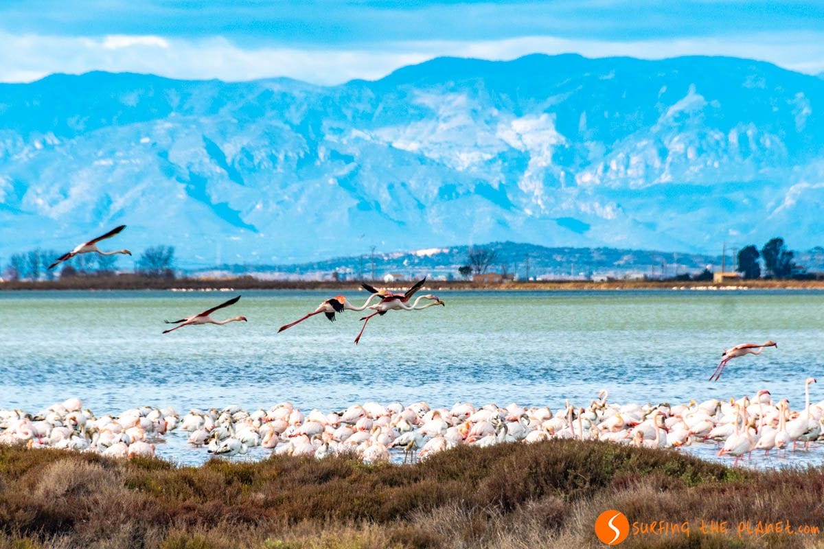 12 rincones mágicos QUE VER en el DELTA del EBRO